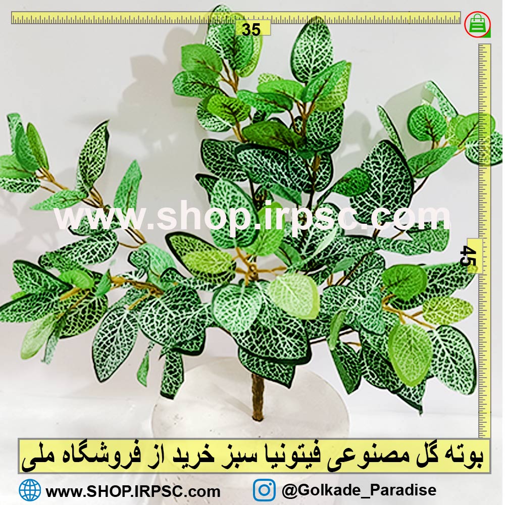 بوته گل مصنوعی فیتونیا سبز | گیاه مصنوعی فیتونیا لمسی مشخصات ،قیمت ...
