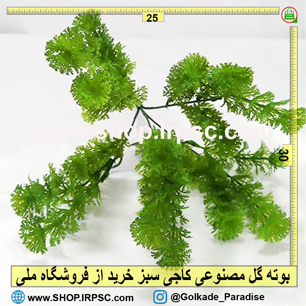 بوته گل مصنوعی کاجی سبز | گیاه مصنوعی کاجی سبز لمسی مشخصات ،قیمت ، فیلم ...